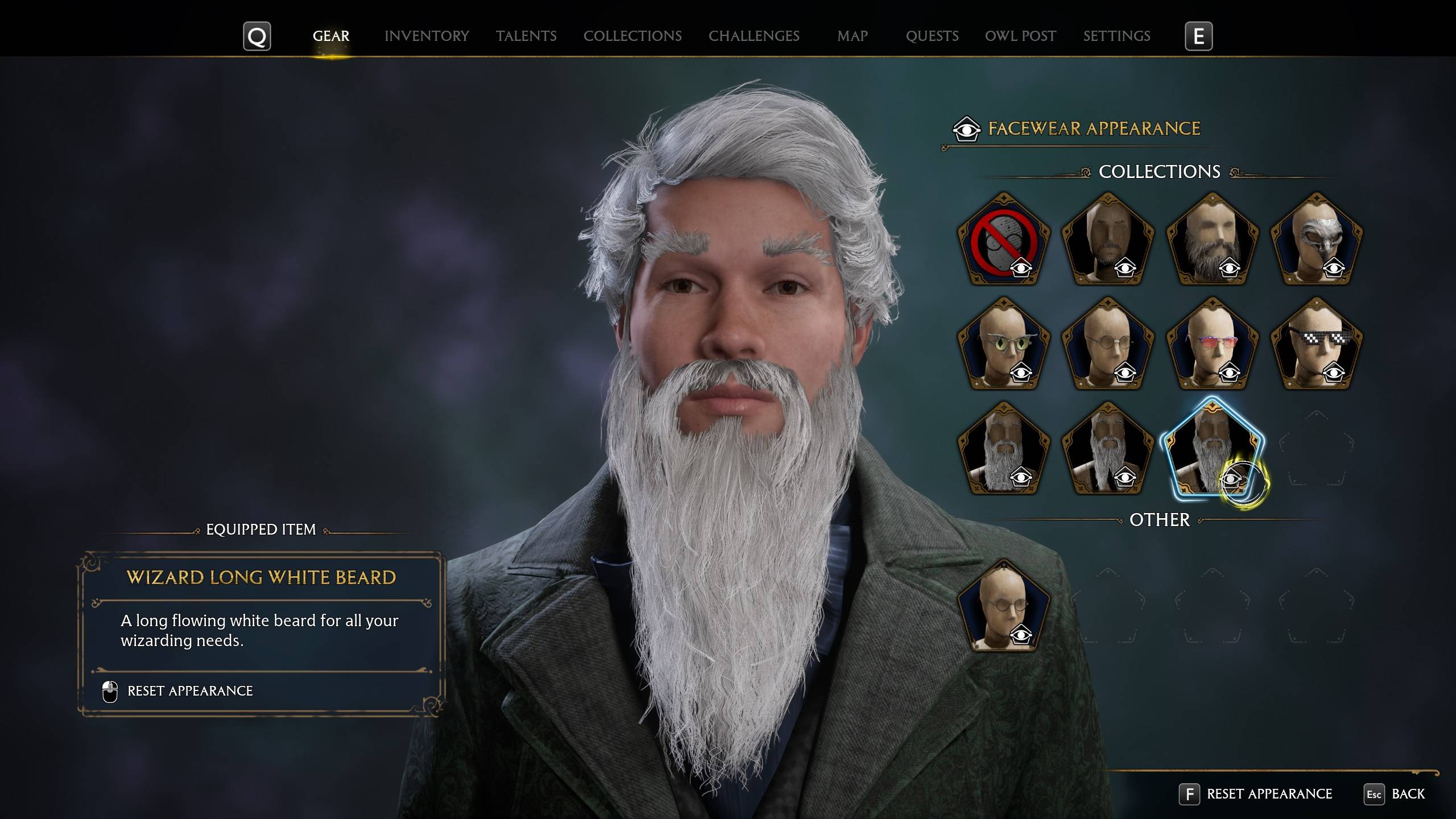 Wizard Long Beard Gear Appearance Set - Gallery - Hogwarts Legacy Mods ...