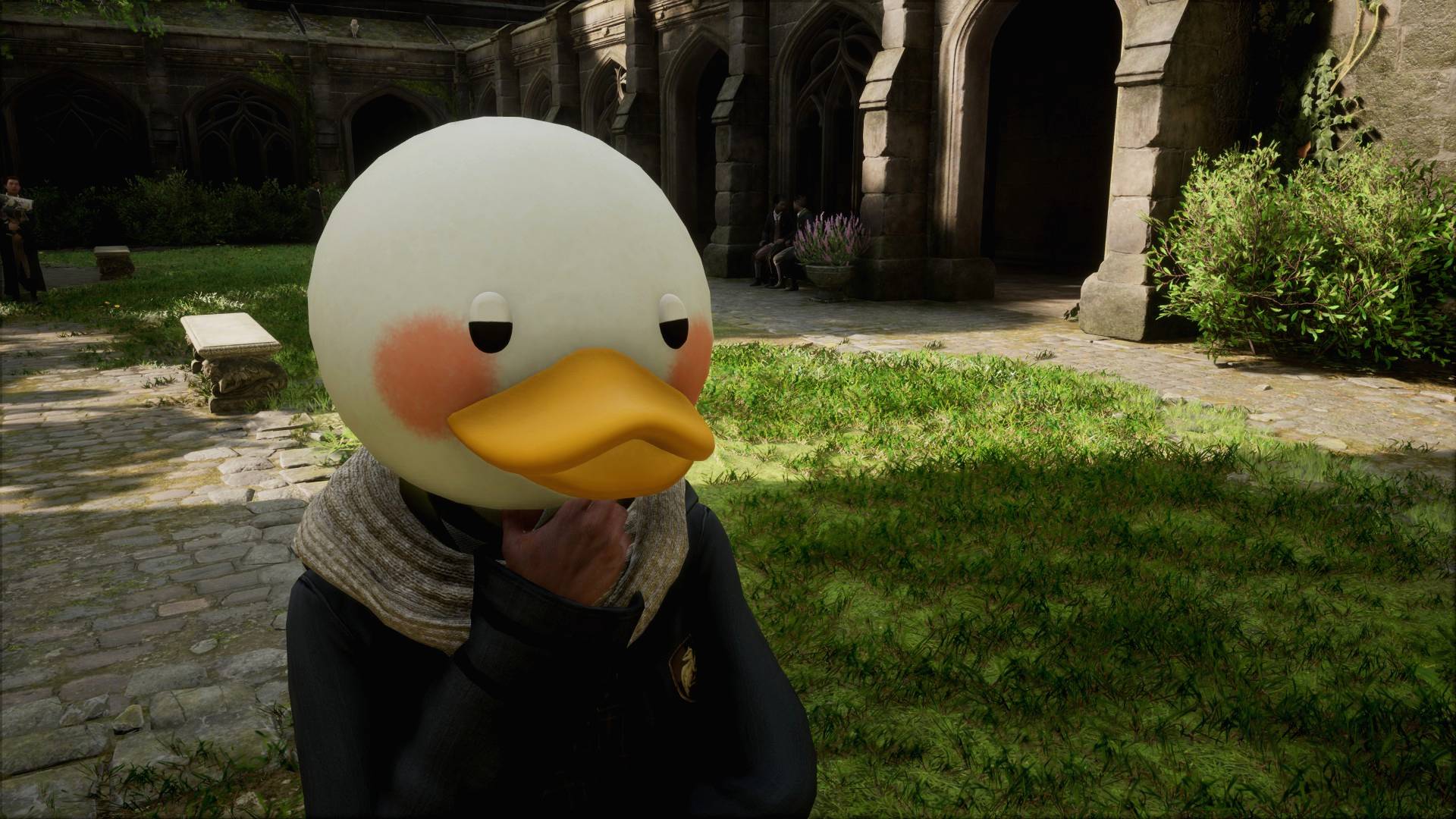 MH Duck Head Gears - Gallery - Hogwarts Legacy Mods - CurseForge