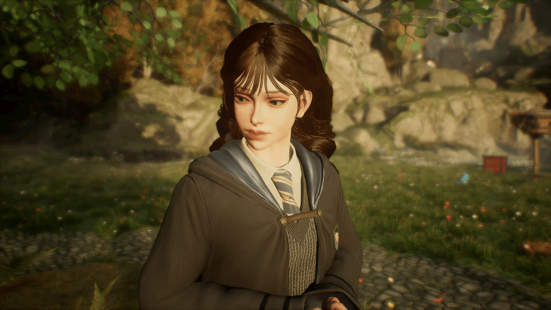 Hohoho Hairstyles V1 - Hogwarts Legacy Mods - CurseForge