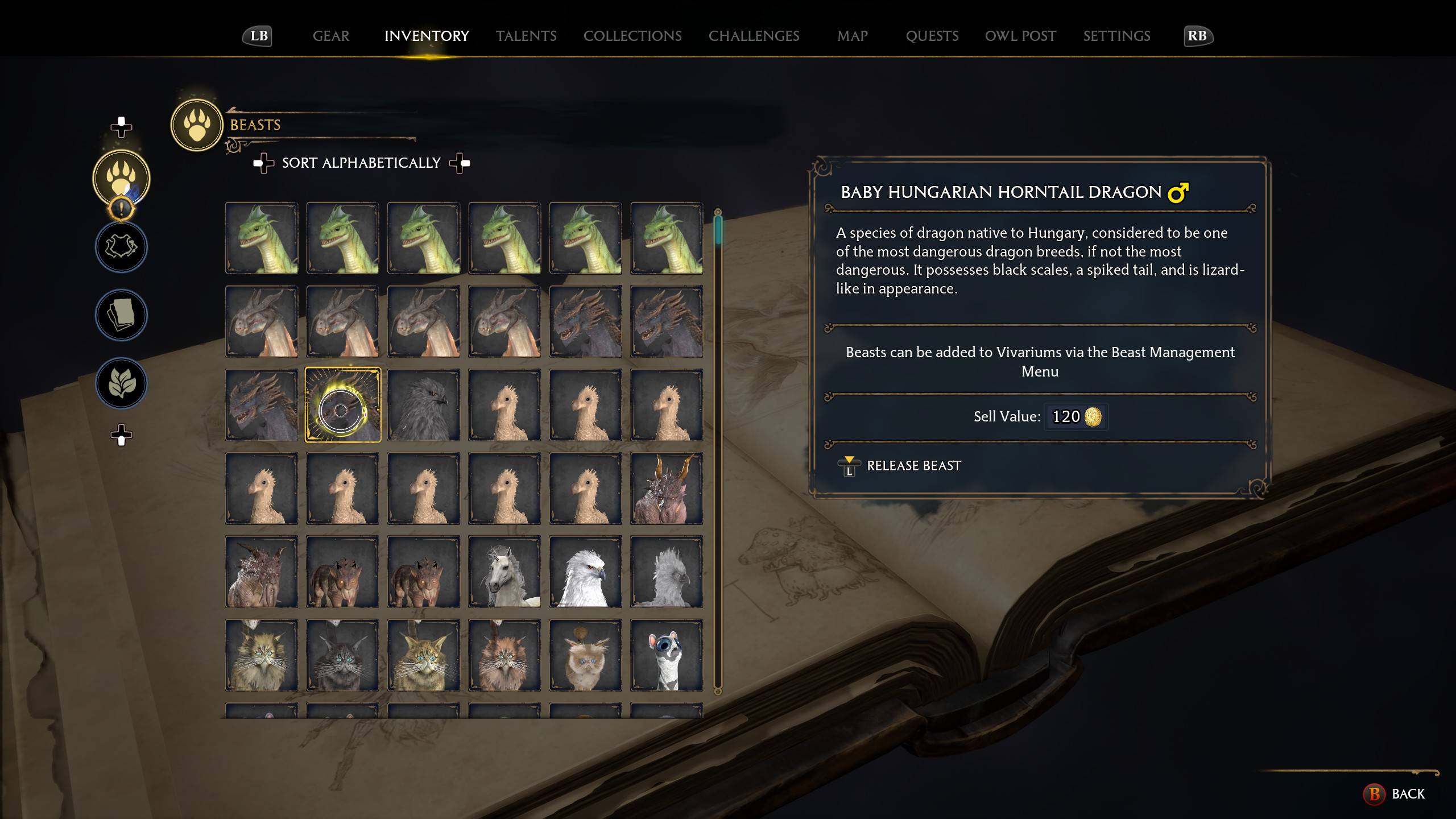 Baby Hungarian Horntail Dragon Beast Dens - Hogwarts Legacy Mods ...