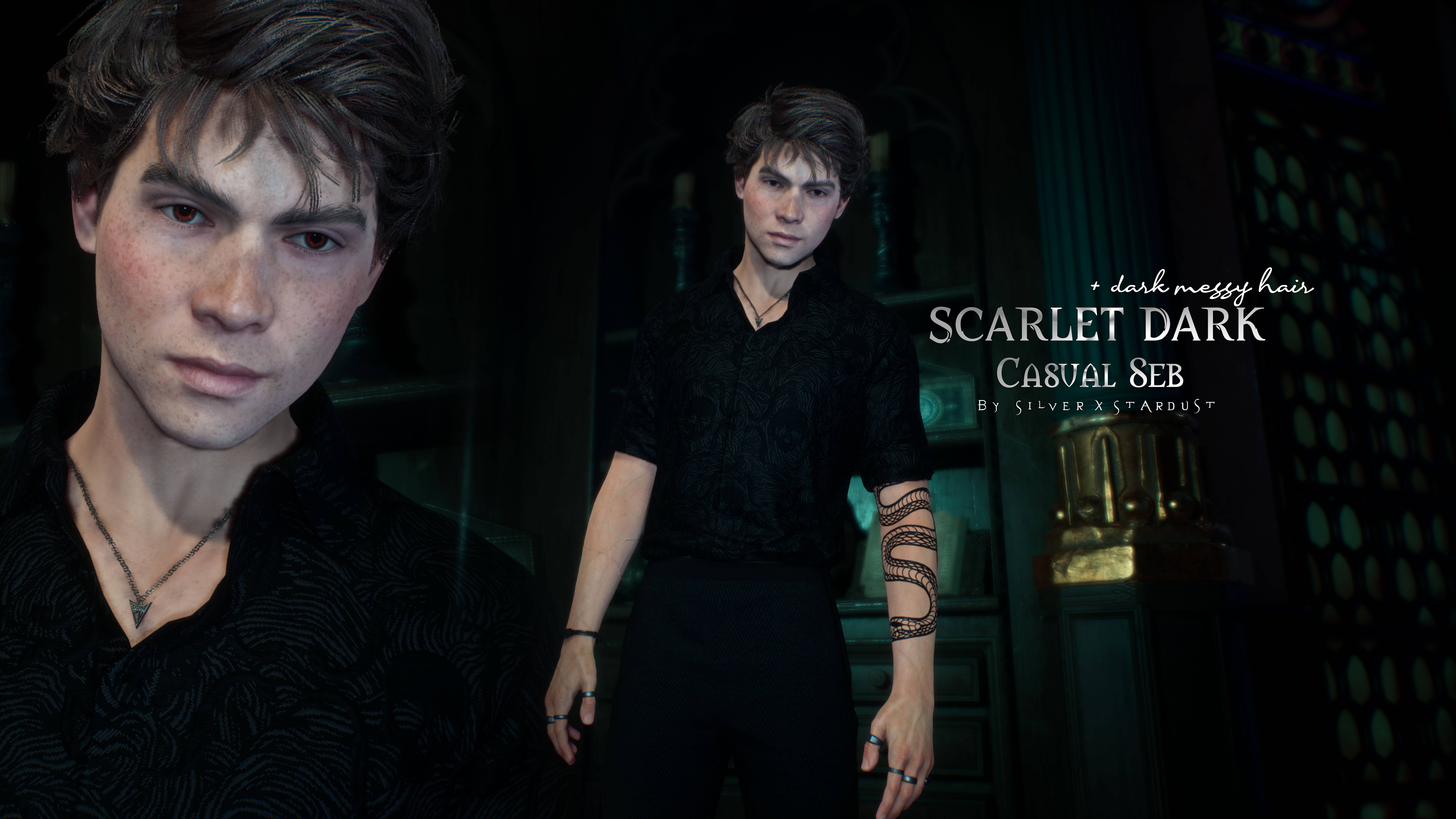 Scarlet Dark Casual Seb - Hogwarts Legacy Mods - CurseForge