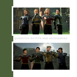 Quidditch Outfits & Accessory - File - Hogwarts Legacy Mods - CurseForge